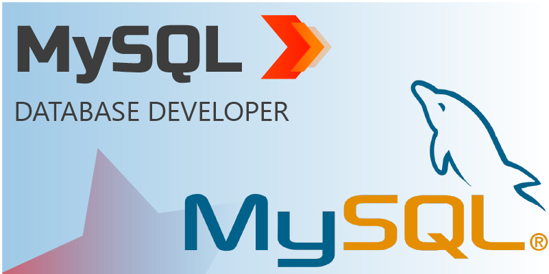 Courses Page | Viblo Learning